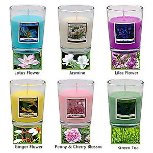12 Packs Scented Aromatherapy Candle Set, 1.8 Oz Soy Votive Candle for Home Decoration, Candle Gifts for Christmas Thanksgiving and Anniversary