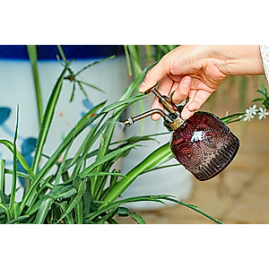 Glass Plant Mister Spray Bottle, 6.3inch Tall Vintage Plant Spritzer Watering Can, Succulent Watering Bottle with Top Pump, Plant Mister Glass Watering Garden Tool (Grey Red Gradient)