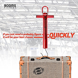 Booms Fishing TS1 Aluminum Tube Spring & Hook Scale 50LB/22KG