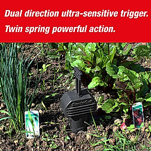 SWISSINNO Gopher & Vole Trap PRO SuperCat. Control Gophers, Voles + Field Mice, Unique Trigger Catch Action, Ultra-Effective + High Catch Rates. Easy to Setup, Safe+ Reusable. Made in Europe: 1x Trap