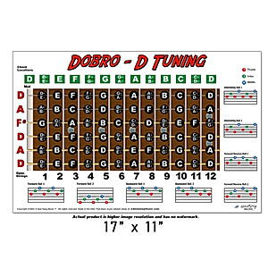 Dobro Open D Tuning Resonator Guitar Fretboard Note & Rolls Chart - Beginners & Intermediate Instructional Easy Poster Chords 11x17 | A New Song Music