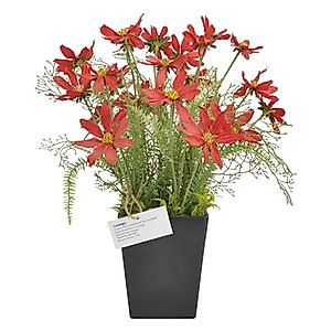 Luxsego Silk Artificial Flowers Coreopsis Faux Flowers, Potted Floral Decor for Garden, Wedding, Office Table Decor Gifts Idea for Her or Him, Decorative Home Accessories(16.7in, Red)