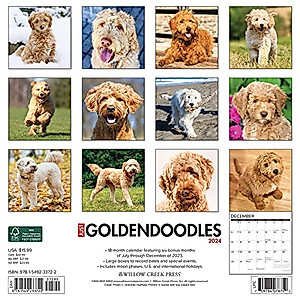 Willow Creek Press Goldendoodles Monthly 2024 Wall Calendar (12" x 12")