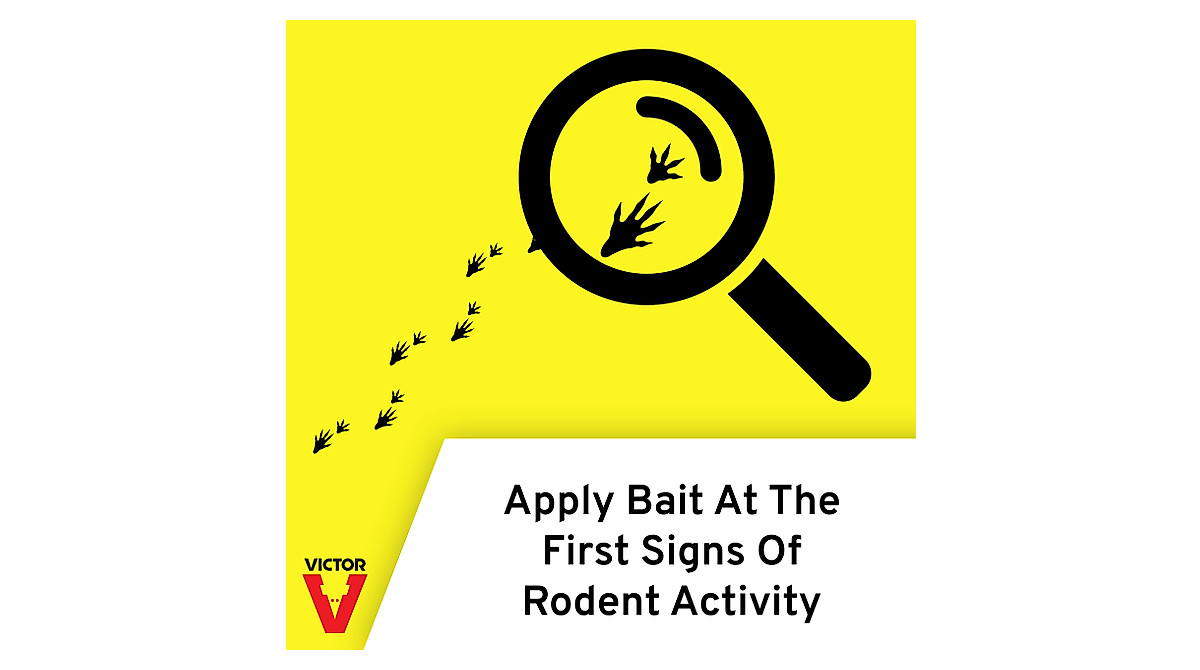 Victor M909 Fast-Kill Rodenticide - 9 lb Bait Blocks