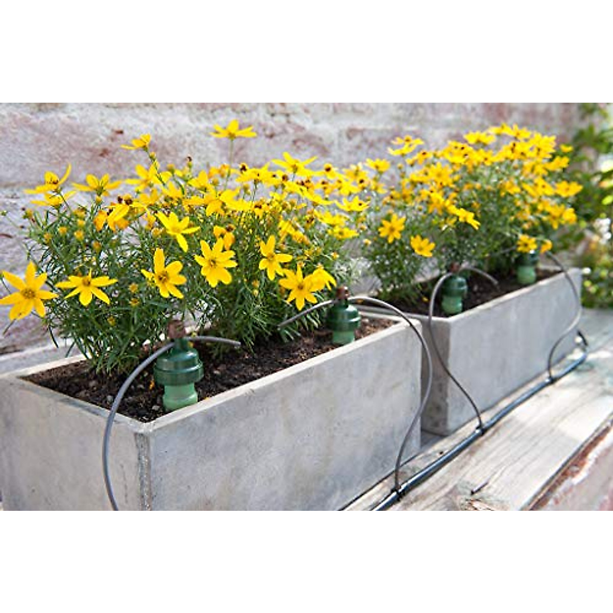 Blumat Automatic Watering System for 5 Plants (Starter Kit)| Fully Automatic Drip Irrigation Kit | No electricity, No Batteries required | Garden, Patio, Hanging Baskets, Raised Bed, Greenhouse | Sustainable Outdoor System