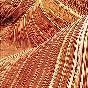 Men's Cologne Fragrance Spray by Curve, Casual Day or Night Scent, Spicy Wood Magnetic Scent, 4.2 Fl Oz