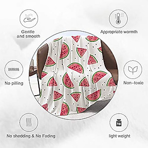 Yunine Lmorey The Underwater World with Dolphins and Plants Throw Blanket Bed Couch Sofa Travelling Camping Super Soft Blanket for Kids Adults 60 x 80 Inches