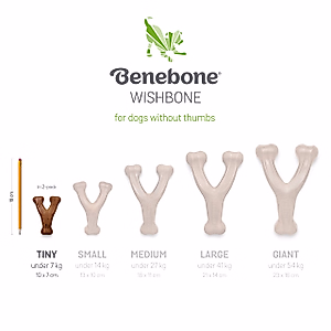 Benebone Tiny 2-Pack Dog Chew Toys, Made in USA, Real Bacon Flavor, Small