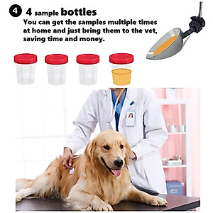 iNenya Dog Urine Sample Catcher，Telescopic Dog Pee Sample Collector，Pet Urine Stick for Small Large Female Dogs (Grayspoon&4bottles)