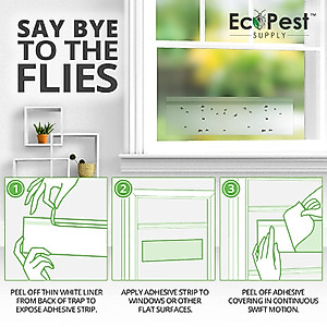 Window Fly Traps – 12 Pack | Transparent Sticky Fly Trap for Windows | Discrete, Extra Large Insect Glue Trap and Indoor Bug Catcher for House Flies and Other Flying Insects