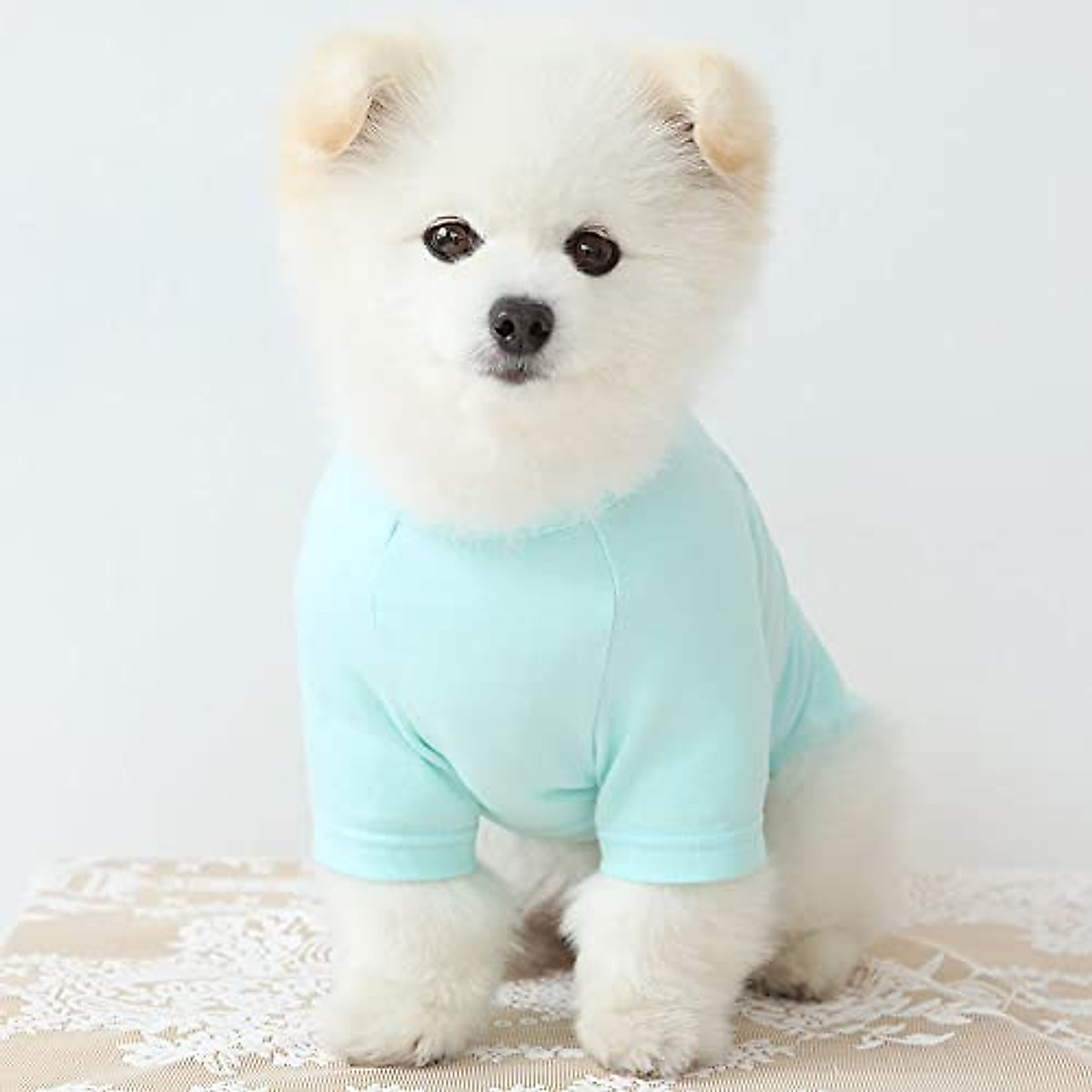 Lucky Petter Dog Shirt for Small Dogs Plain T-Shirts Soft Breathable Dog Cotton Shirt pet Clothes (Medium, Mint)