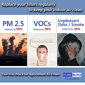 PUREBURG FP-F60UW Replacement True HEPA Filter Set Compatible with Sharp FZ-F60HFU FZ-F60DFU Fits Sharp FP-F60UW FP-F60U-W Air Purifier