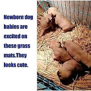 Grass Mat Woven Bed Mat for Small Animal Bunny Bedding Nest Chew Toy Bed Play Toy for Guinea Pig Parrot Rabbit Bunny Hamster Rat(Pack of 3) (3 Grass mats)