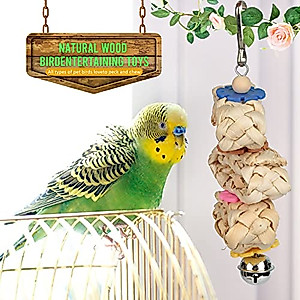 Bird Parrot Toys Swing Hanging, XUXN Bird Parrot Toys 13 Packs, Natural Wood Chewing Toy Bird Cage Toys, Parrot Hammock Bell Toys Suitable for Small Parakeets, Cockatiels, Conures, Parrots, Love Birds