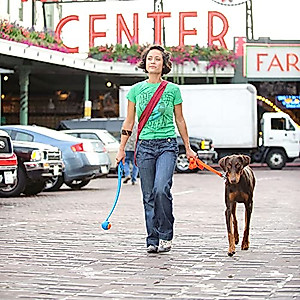 ChuckIt! Junior 18M Dog Ball Launcher, 18" Length, Includes Medium Ball (2.5") For Dogs 20-60 Pounds