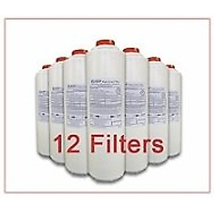 Elkay 51300C_12PK WaterSentry Plus Replacement Filter Cartridge (12 Pack)