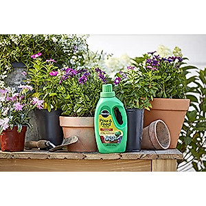 Miracle-Gro Pour & Feed Plant Food (Liquid), 32 fl. oz. (6 Pack)