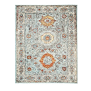 Superior Idalia Indoor Area Rug