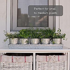 SCANDINORDICA Galvanized Herb Planter – 5 Herb Pots with Drainage Holes and Tray, Windowsill Planter, Indoor Herb Garden Planter Outdoor, Herb Pots for Indoor Plants | Windowsill Herb Garden