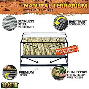 Exo Terra AllGlass Terrarium - 36 x 18 x 18 Inches