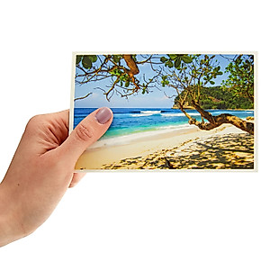 Best Paper Greetings 40 Pack Nature Postcards Bulk, Blank Travel Cards for Mailing, 20 Assorted Scenic Photos, Four Seasons (4x6 In)