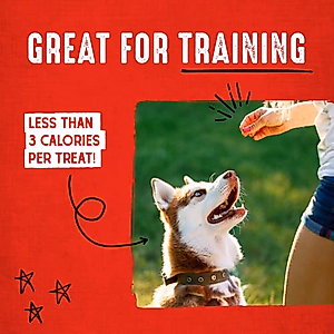 Stella & Chewy's Freeze-Dried Raw Carnivore Crunch Cage-Free Turkey Recipe Dog Treats – 3.25 oz. Bag