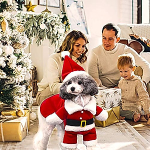 QETRABONE Small Santa Dog Cat Costume Christmas Pet Clothes Outfits Red Christmas Santa Claus Hat Scarf Cosplay Dressing up Xmas Party New Year Clothing Accessories for Small Cat Dog (XS-small, Santa)