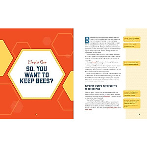 Beekeeping for Beginners: How To Raise Your First Bee Colonies