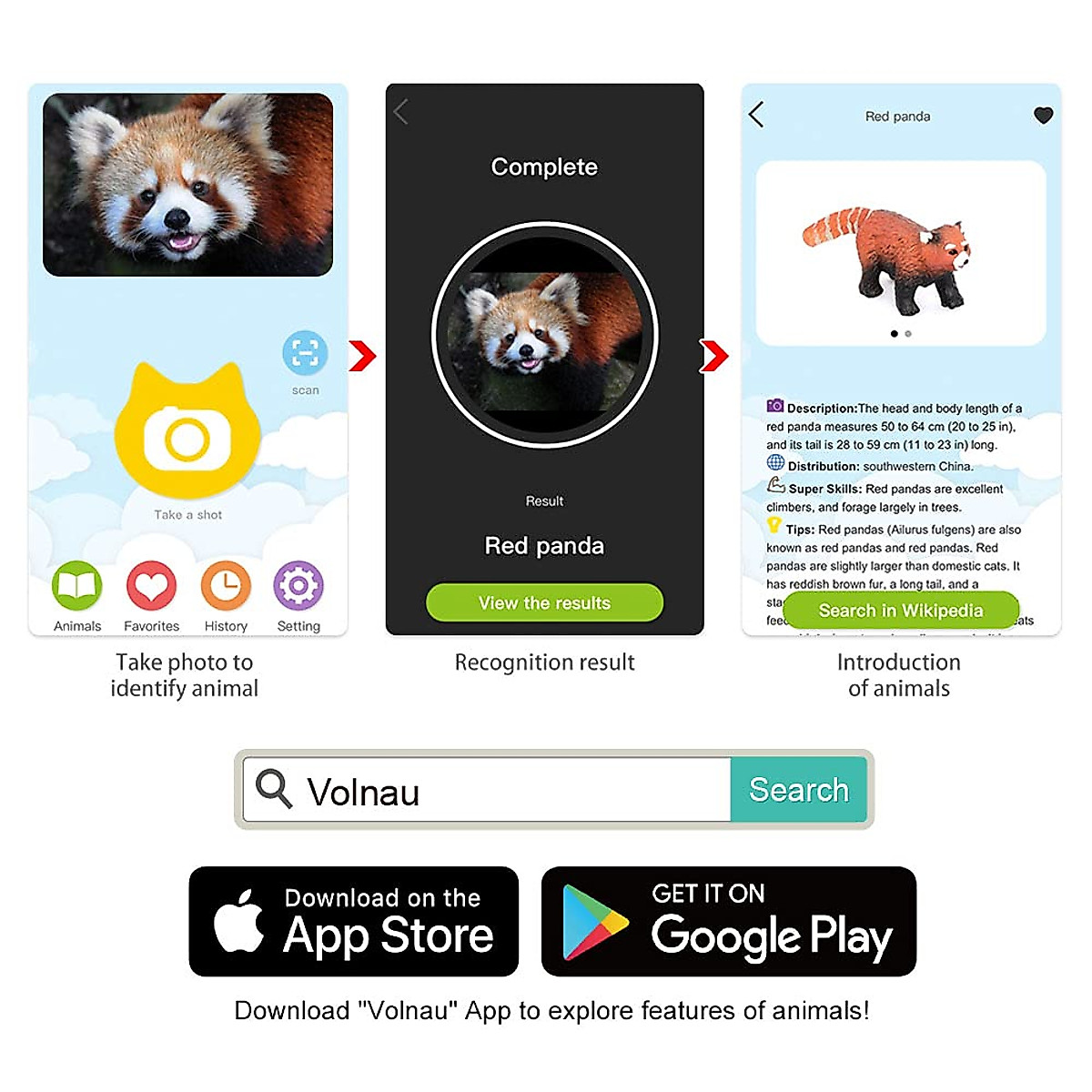 Volnau Sea Creature Toys Figures 8PCS Antarctica Ocean Animals Figurines for Toddlers Kids Christmas Decoration Fish Gift Plastic Preschool Pack and Bath Penguin Killer Whale Set