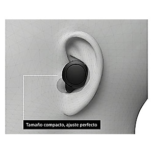 Sony WF-C500 Truly Wireless In-Ear Bluetooth Earbud Headphones with Mic - Black (Renewed)