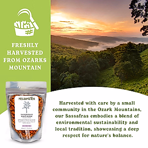 Nelson's Tea - Sassafras Root Bark - Cut & Sifted Sassafras Root Beer Flavor - Sassafras Albidum (4 Oz)