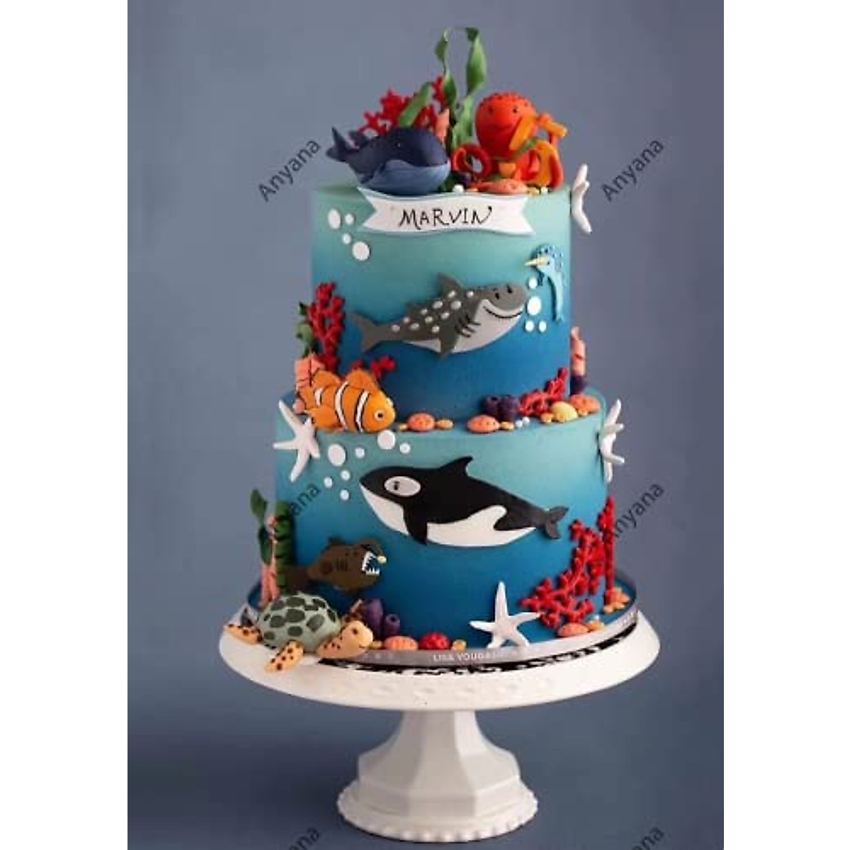 Anyana 4pcs set Fish Plastic Cookie impression Cutter Cake decorating fondant Mold Tool Sugar Paste Baking Mould stamps Pastry