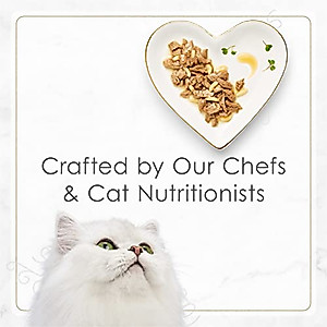 Purina Fancy Feast Gourmet Wet Cat Food Variety Pack, Petites Gravy Collection, Break-apart tubs, 48 Servings - (24) 2.8 oz. Tubs