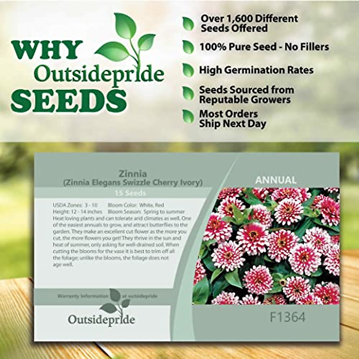 Outsidepride Zinnia Swizzle Cherry Ivory Heat & Drought Tolerant Garden Cut Flowers - 30 Seeds