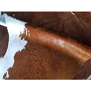 eCowhides Hereford Brazilian Cowhide Area Rug, Cowskin Leather Hide for Home Living Room (Large) 6 x 6 ft