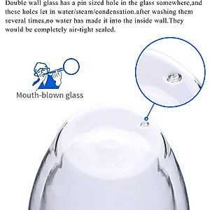 Blooming Life Style 2-Pack 12 Oz Double Walled Glass Coffee Mugs with Handle,Insulated Layer Coffee Cups,Clear Borosilicate Glass Mugs,Perfect for Cappuccino,Tea,Latte,Espresso,Hot Beverage