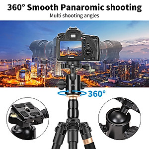 Carbon Fiber Lightweight Camera Tripod,Combination 66" Camera Tripod Stand,68" Monopod,with 360° Ball Head,2 QR Plates and Phone Holder,Heavy Duty for Cell Phone DSLR Canon Nikon, Max Load 26lbs