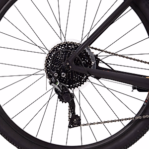 ROYCE UNION RCF Lightweight Carbon Mountain Bike, Matte Black, 29 inch Wheels / 19 inch Frame