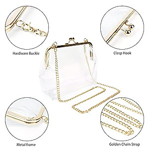 Clear Bag Stadium Approved Crossbody Purse Clutch In Fashion Style For Women Girls With Snap Closure(CP004)