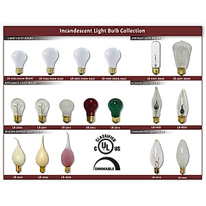 Royal Designs LB-2001-2 Clear Edison Incandescent Vintage Style 60-Watt T10 E26 120V Light Bulb, 2 pack