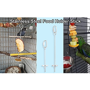 TOPINCN Bird Fruit Holder Stainless Steel Parrot Fruit Vegetable Food Stick Holder Small Animal Bird Toy Vegetable Skewer Treating Tool for Parrots/Chinchillas/Small Pets(L)