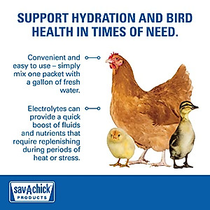 Sav-A-Chick Electrolyte & Vitamin Supplement (3 - 0.2 oz packets)