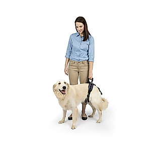 PetSafe CareLift Rear Support Harness – Lifting Aid with Handle and Shoulder Strap – Great for Pet Mobility and Older Dogs – Comfortable, Breathable Material – Easy to Adjust, Black, Large