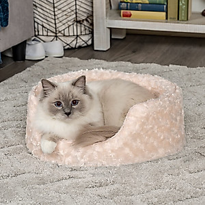 Furhaven Dog Bed for Small Dogs w/ Removable Washable Cover & Pillow Cushion Insert, For Dogs Up to 12 lbs - Ultra Plush Faux Fur Oval Lounger - Cream, Small