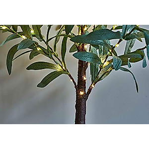 LITBLOOM Lighted Tabletop Olive Tree 18IN 50 LED Fairy Lights with Timer Battery Operated or USB Plug in Bonsai Tree for Wedding Christmas Spring Home Decoration
