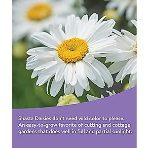 Burpee Wildflower 50,000 Bulk, 1 Bag | 18 Varieties of Non-GMO Flower Seeds Pollinator Garden, Perennial Mix