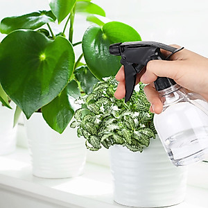 Nuogo 20 Pcs Plastic Spray Bottles Bulk 8 oz Refillable Empty Spray Bottle with Adjustable Nozzle Mini Spray Bottle Liquid Sprayer for Hair, Spas, Water, Kitchen, Plants, Bath and Beauty(Clear)