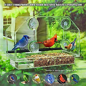 EHONBFLC Window Bird Feeders with Strong Suction Cups, Drain Holes, Clear Bird Feeder for Outside,Balcony Glass Mount, Acrylic Bird Feeders, Large Bird House with 3 Compartment Removable Tray
