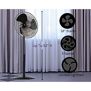 Westerly Oscillating Pedestal Fan, Adjustable Height, 3 Speeds, for Bedroom, Living Room, Home Office and College Dorm Room, 18", Black (2)