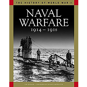 Naval Warfare 1914-1918 (The History of World War I)